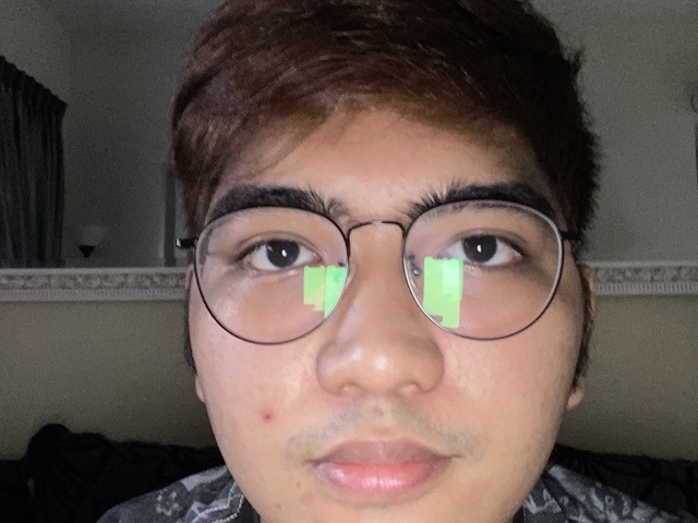 Roommates in Central Singapore