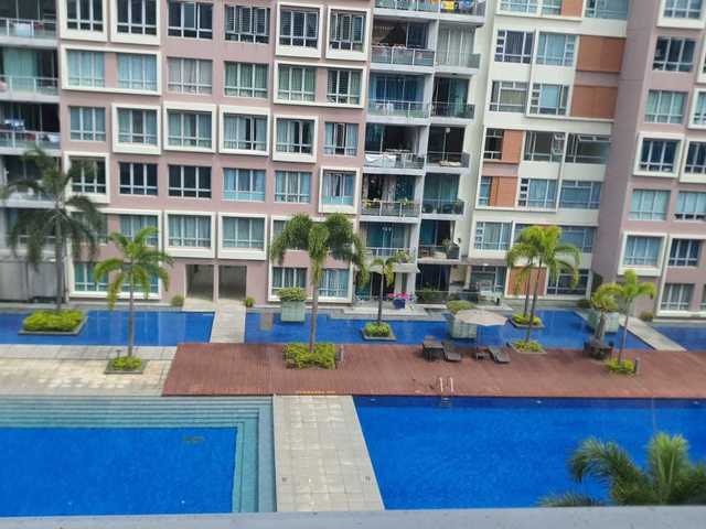 Room for rent Changi, Singapore - Changi Flora drive 1 Condo with pool ...