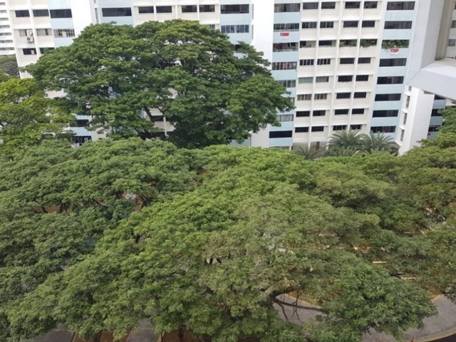 Room for rent Geylang, Singapore - Big, Quiet, Clean & Airy Common Room