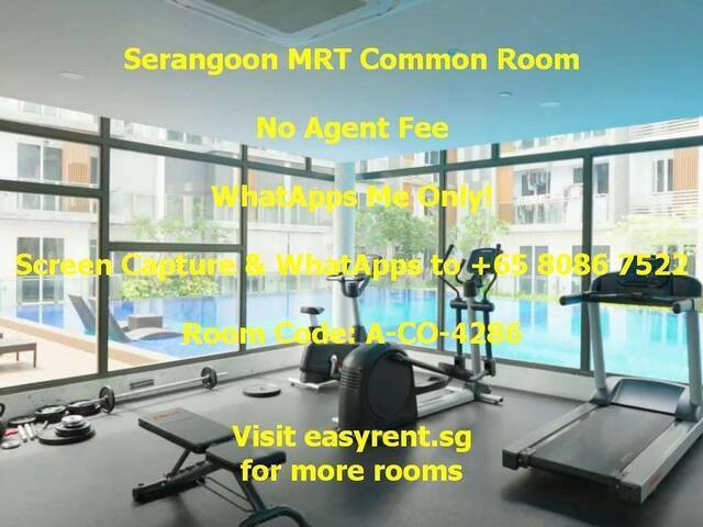 Room for rent Serangoon, Singapore - Serangoon MRT Common Room